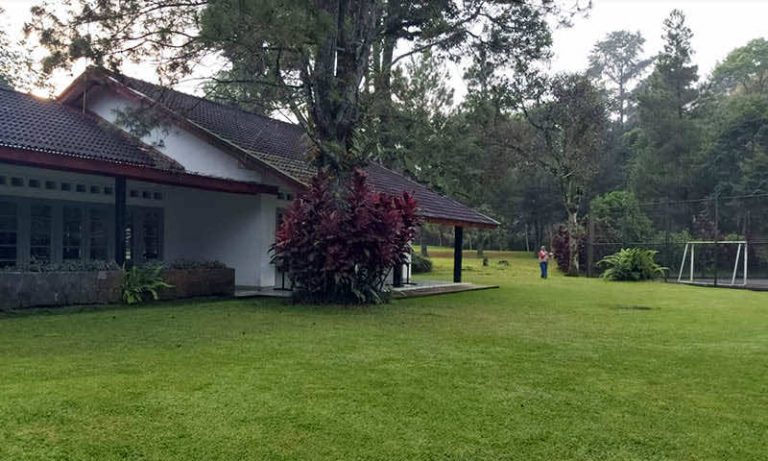 Rekomendasi Paket dan Tempat Family Gathering di Puncak Bogor