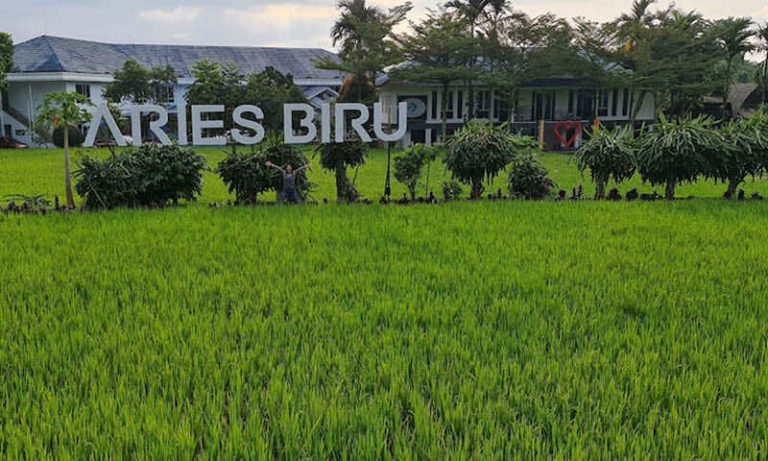 Rekomendasi Paket dan Tempat Family Gathering di Puncak Bogor