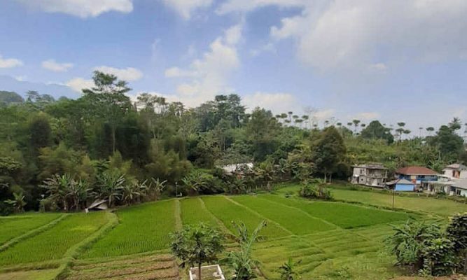 Rekomendasi Tempat dan Paket Family Gathering di Bogor