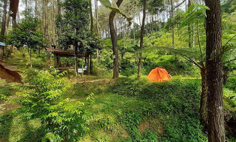 Rekomendasi Tempat dan Paket Family Gathering di Bogor